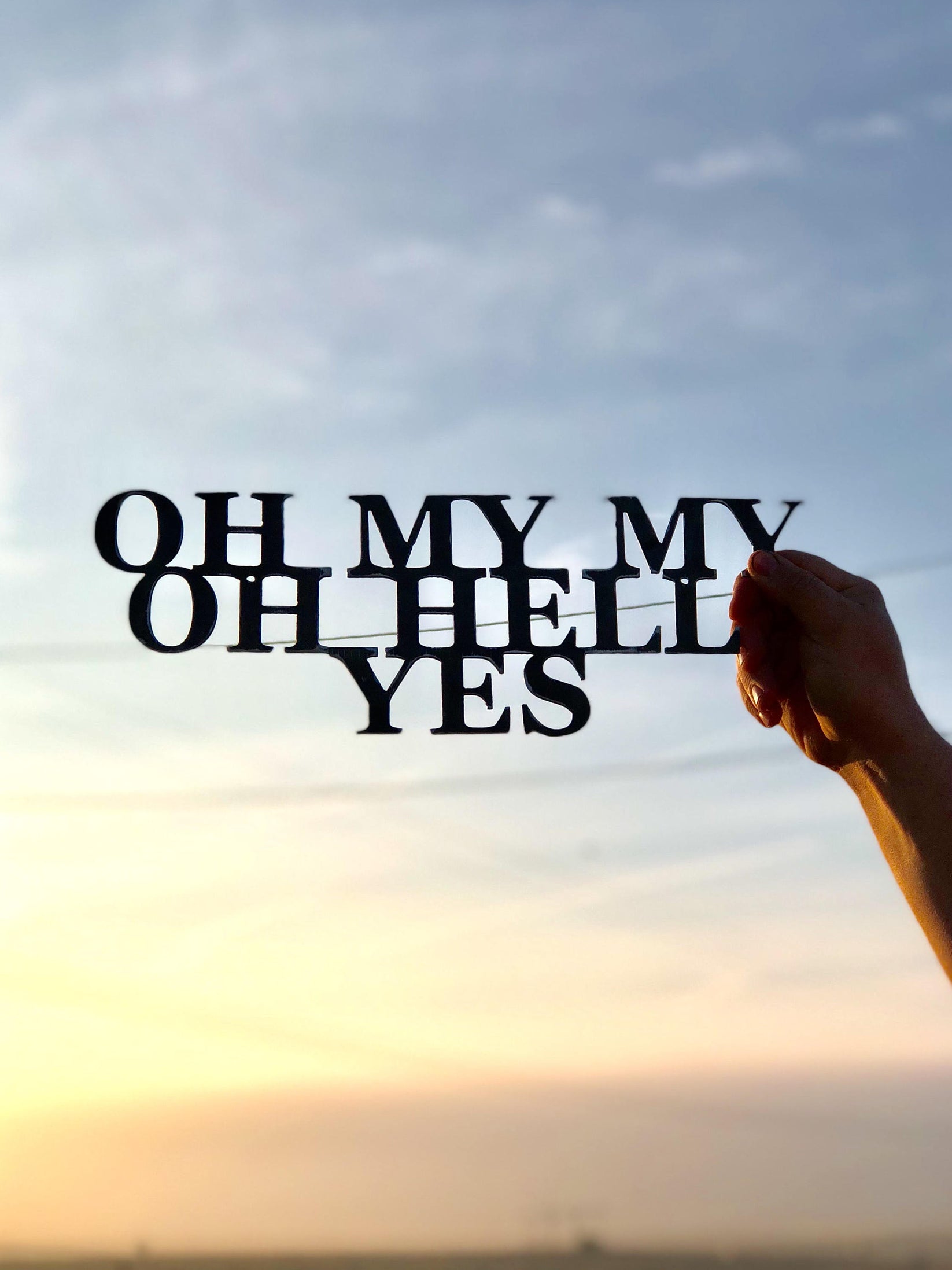 Oh My My Oh Hell Yes metal sign – Twisselman Trading Co